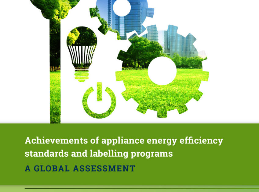 Achievements of appliance energy efficiency standards and labelling ...