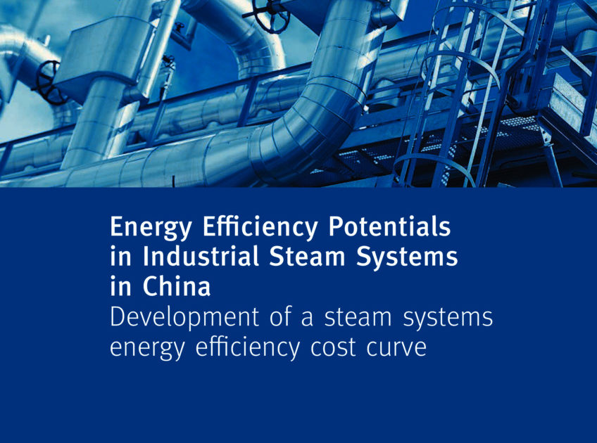 Energy Efficiency Potentials in Industrial Steam Systems in China ...