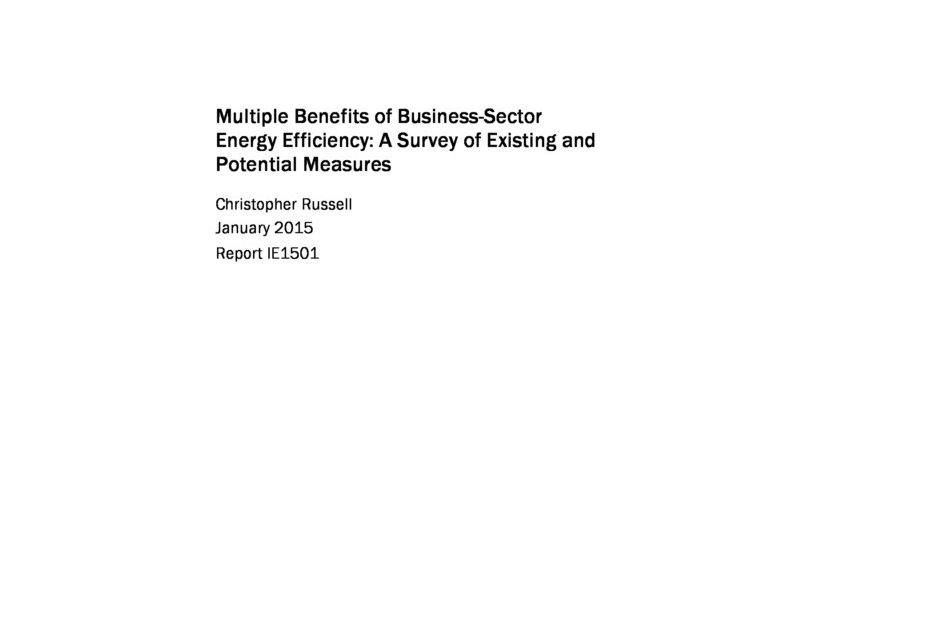 Multiple Benefits of Business-Sector Energy Efficiency: A Survey of ... Multiple Benefits of Business-Sector Energy Efficiency: A Survey of ...