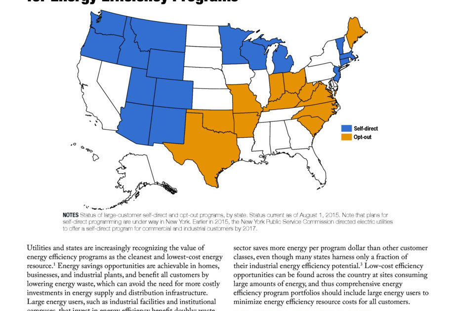Overview of Large-Customer Self-Direct Options for Energy Efficiency ...