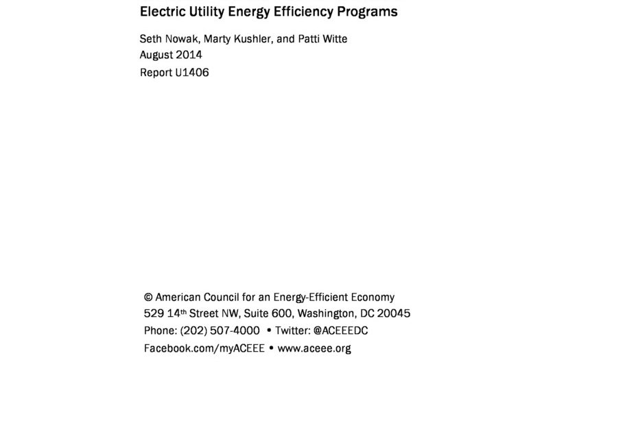 Successful Practices in Combined Gas and Electric Utility Energy ...