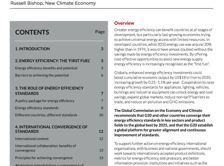 Raising Energy Efficiency Standards to the Global Best - Copenhagen ...